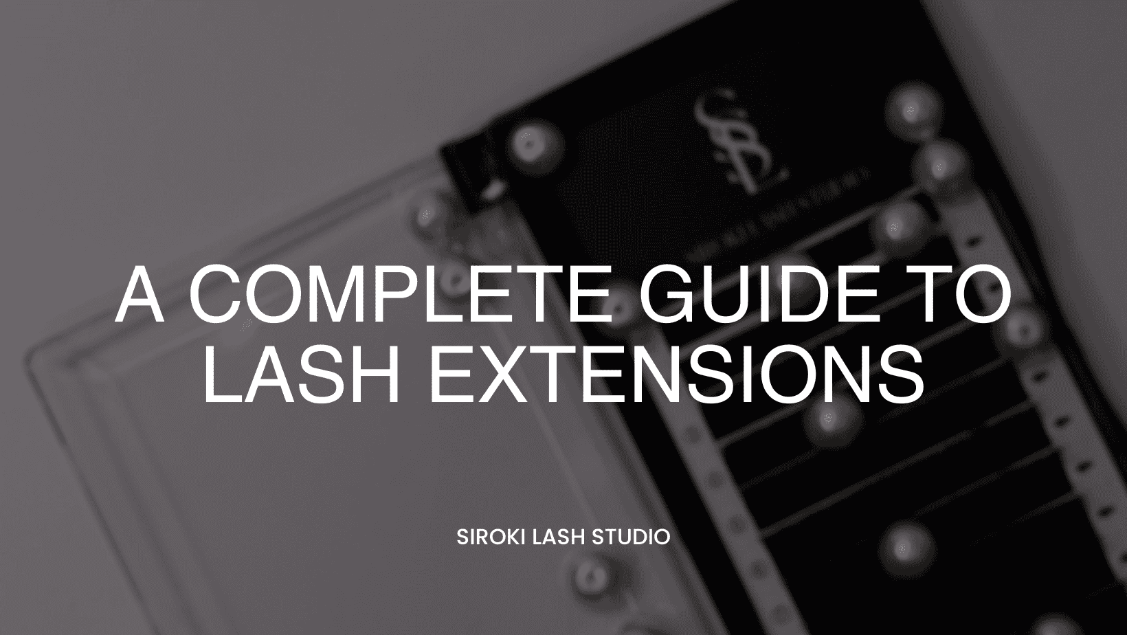 A complete guide to Lash Extensions - Showit Blog