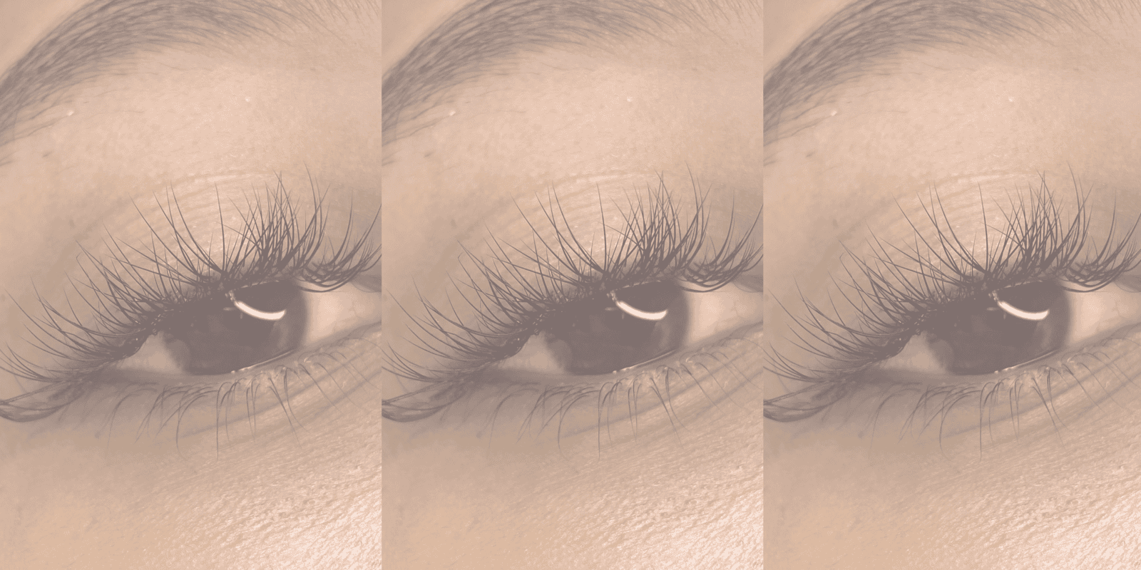The need to know facts about Brow Lamination and Lash Lifts - Showit Blog