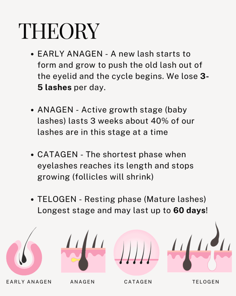 Lash Extension Retention: Understanding the Lash Growth Cycle - Showit Blog