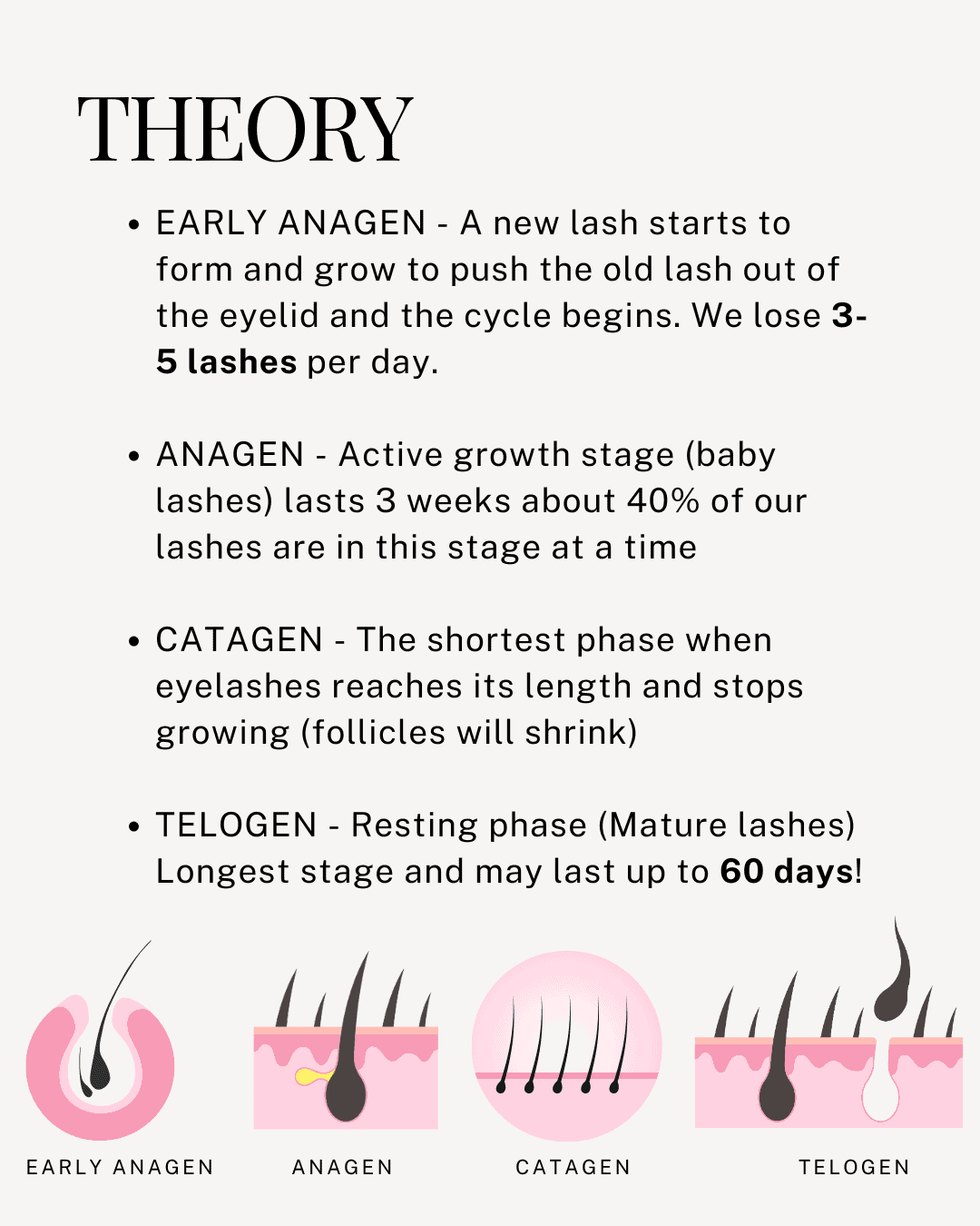 Lash Extension Retention: Understanding the Lash Growth Cycle - Showit Blog